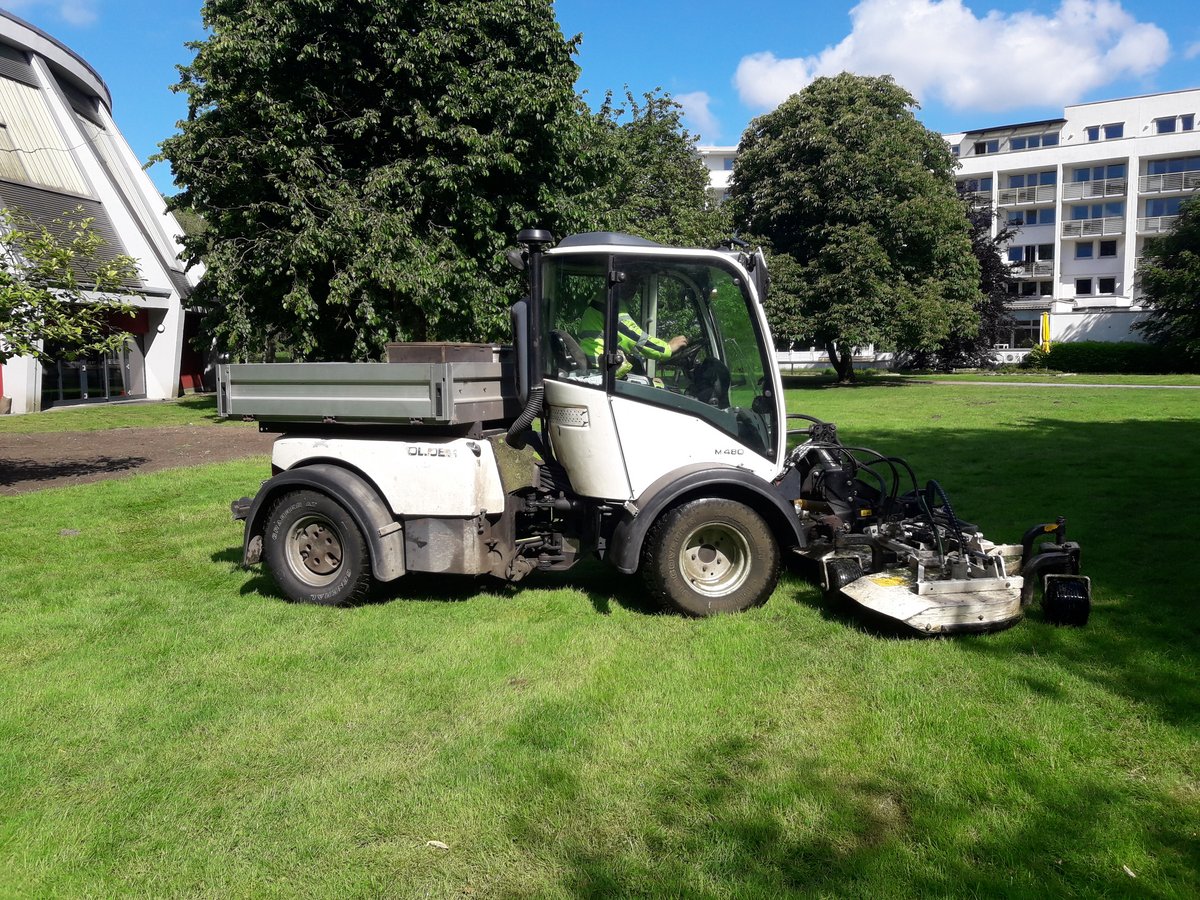 Rasen- und Wiesenpflege